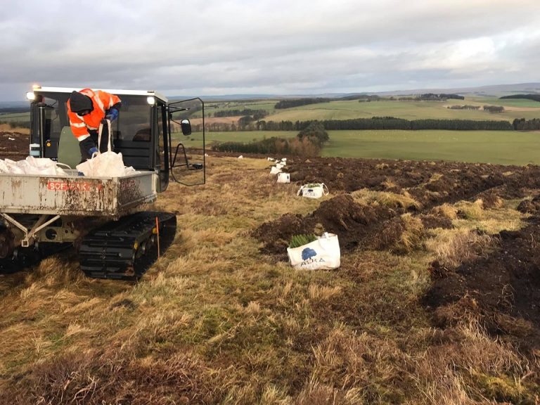 Softrak - CK Forestry